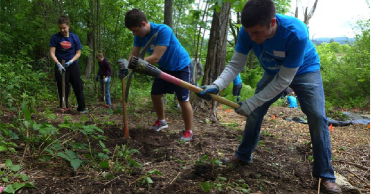 Environmental Impact Bonds Pay for Performance | Conservation Finance ...